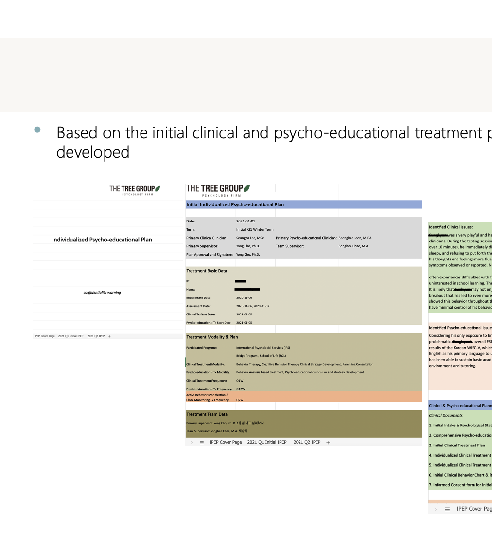 Psycho-educational Treatment Program Strategies - 더트리그룹